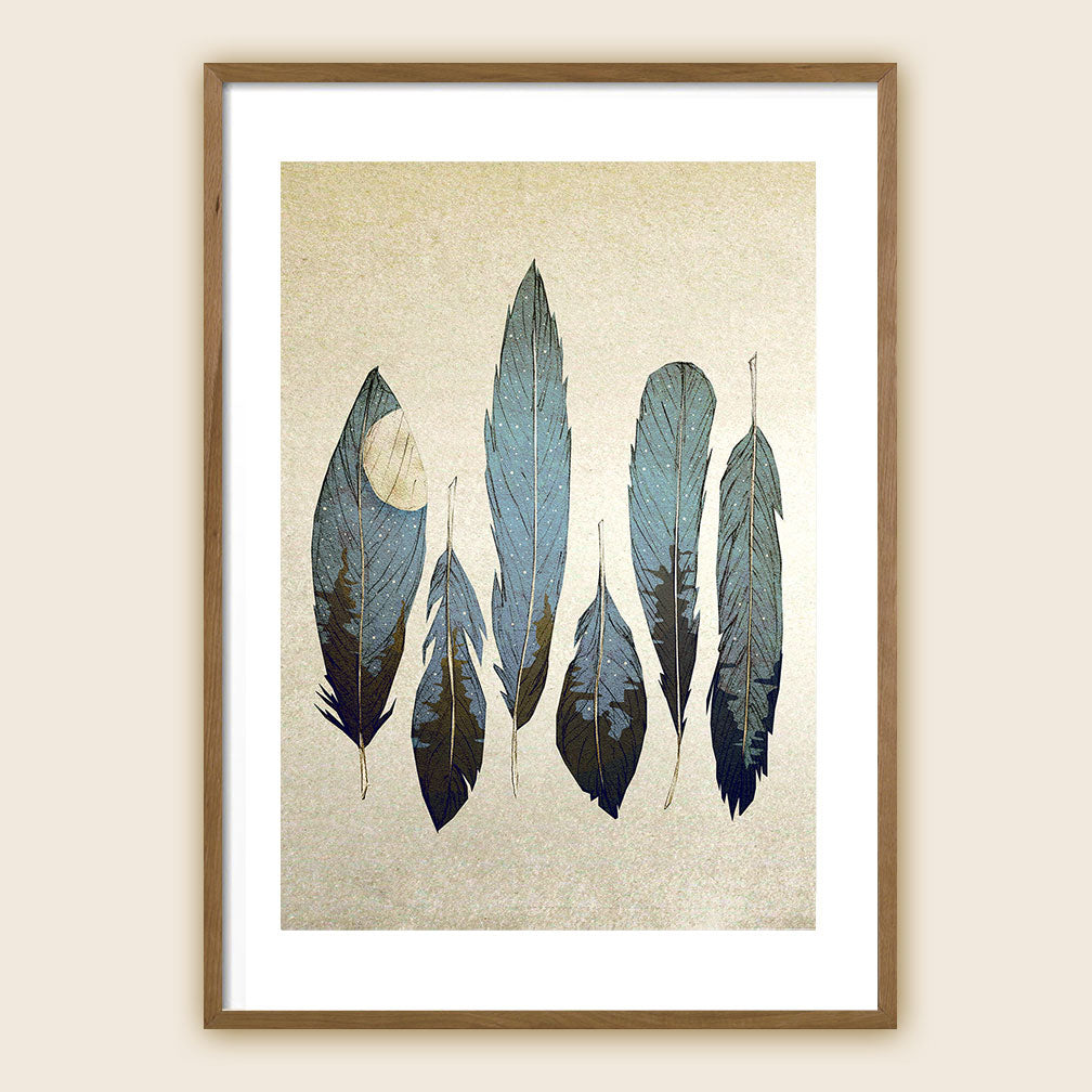 FEATHER ART PRINTS BY MAIA WALCZAK: FOREST BIRDS – Maia Walczak